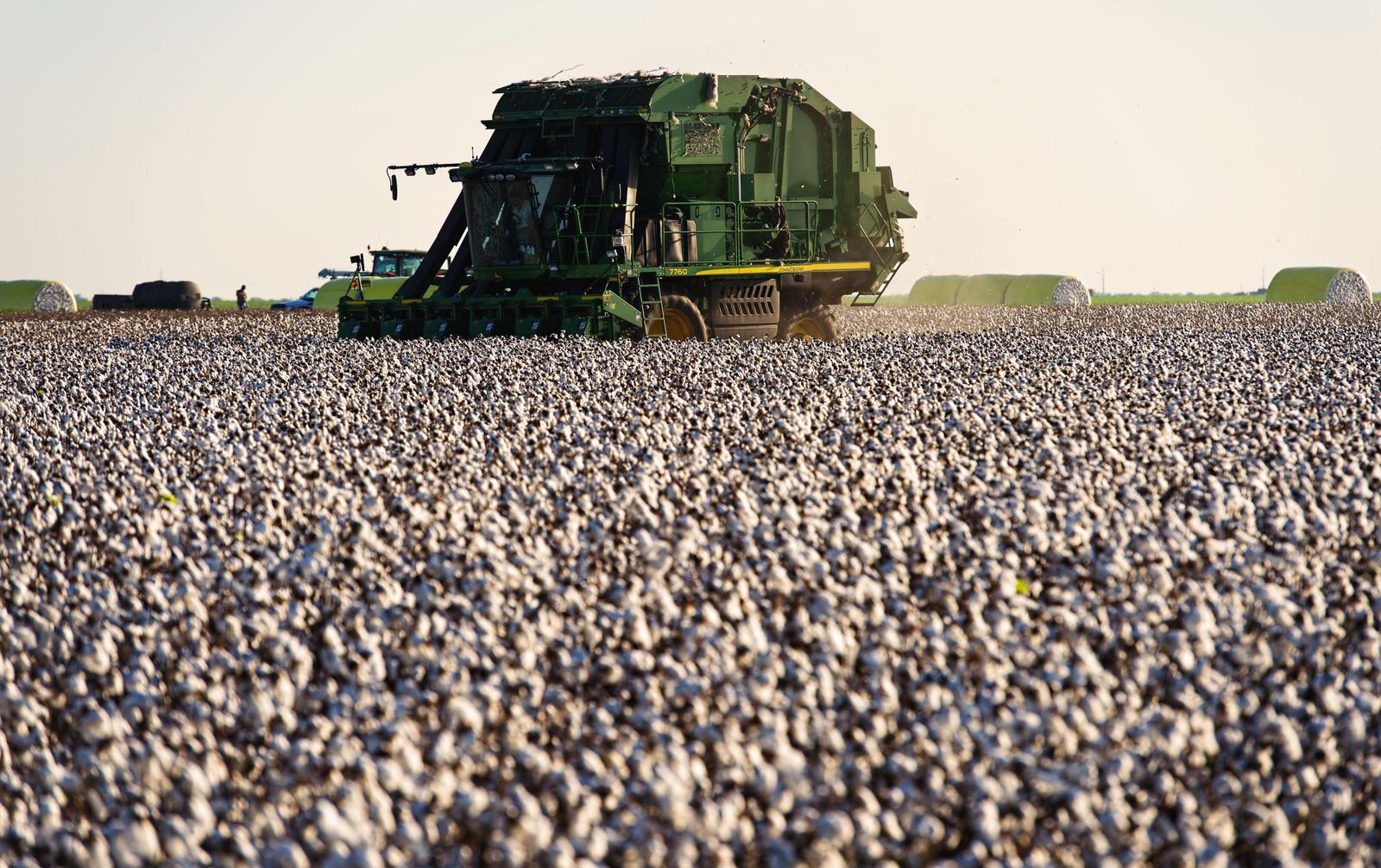 Trump chce sprawdzić co hamuje amerykańskie rolnictwo - Puls Biznesu ...